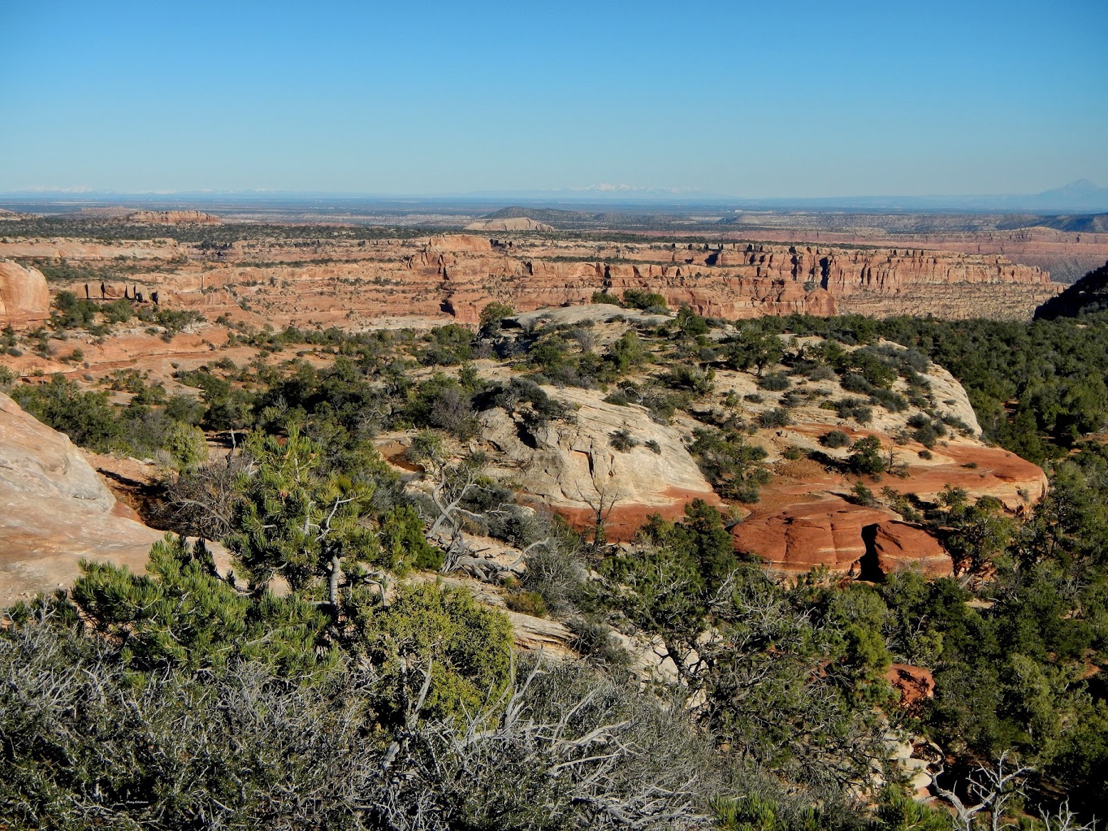 The Southwest Through Wide Brown Eyes: Mule Canyon and Texas Flat Road ...