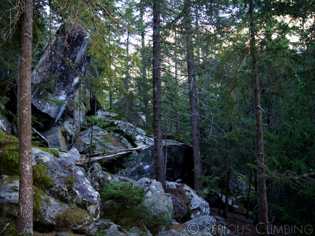 Serious Climbing: Magic Wood