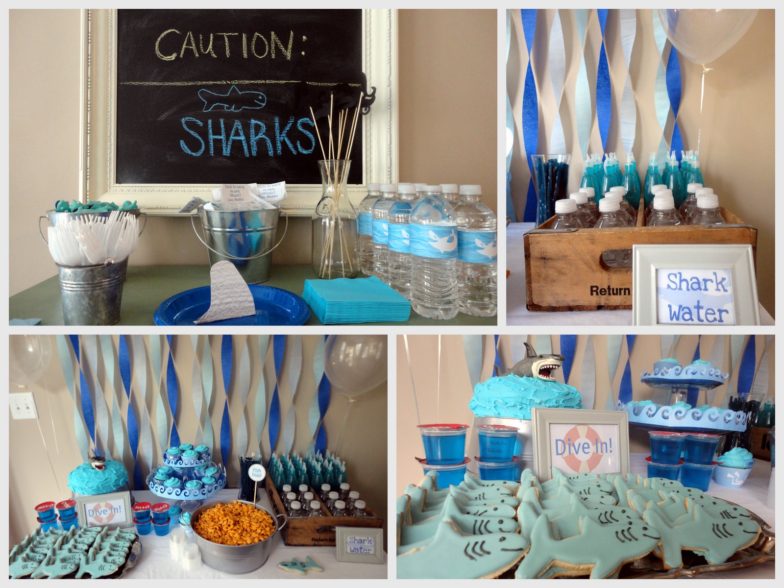 Studio 206: Shark / Scuba Birthday Party