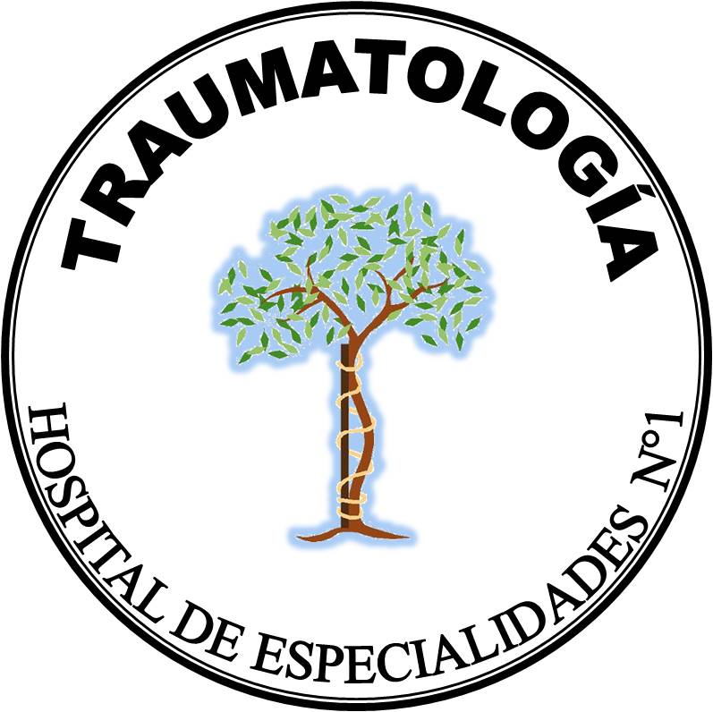 TRAUMATOLOGIA Y ORTOPEDIA : VISIÓN Y MISIÓN