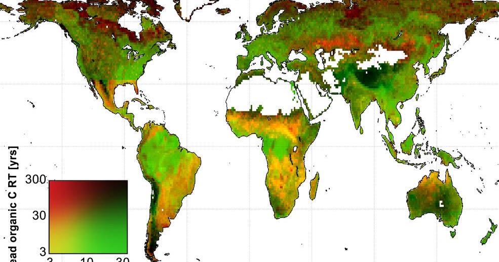 Global map of the average amount of time that live biomass carbon and ...