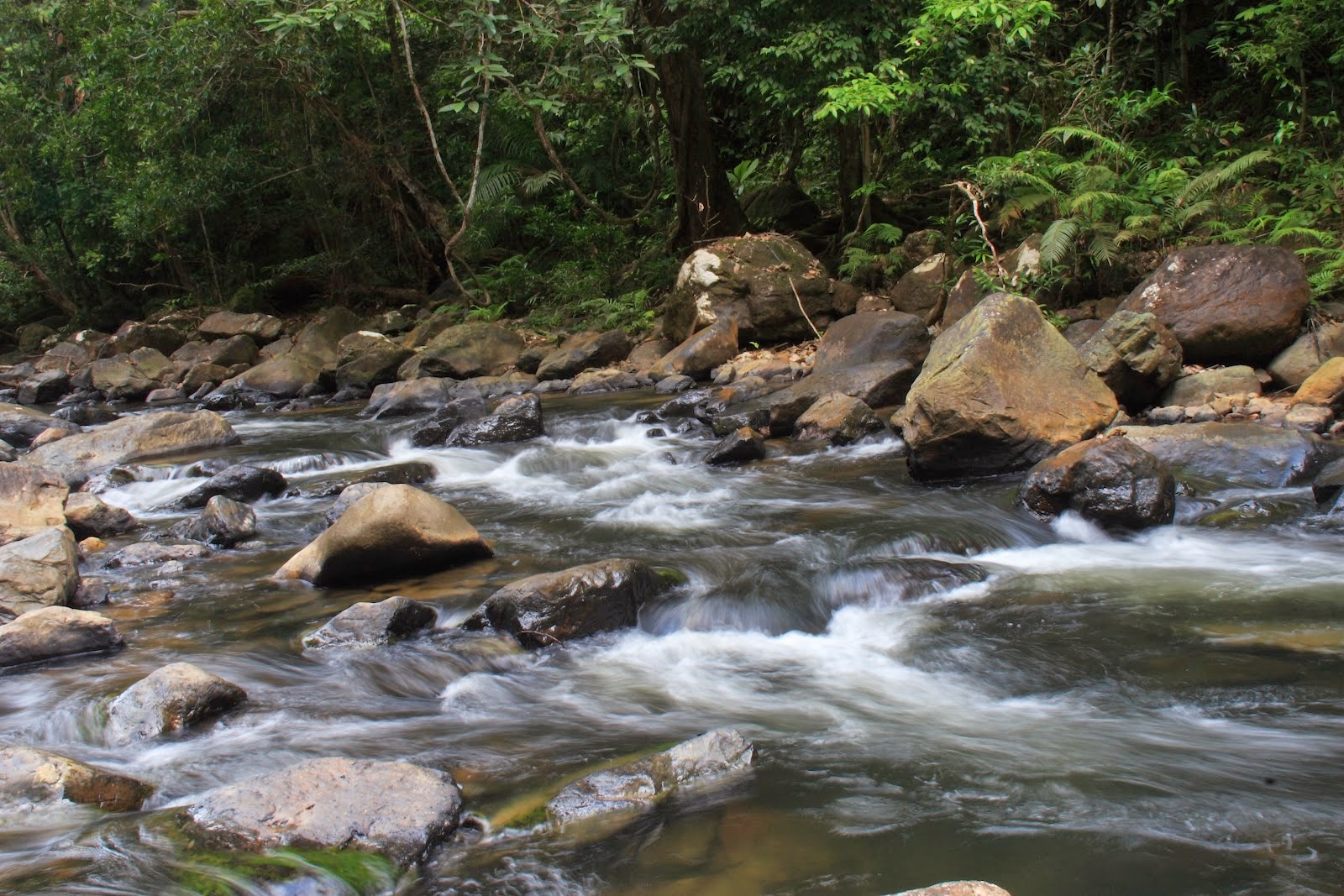 Tourism Fantastic: Endau Rompin National Park (National Park)