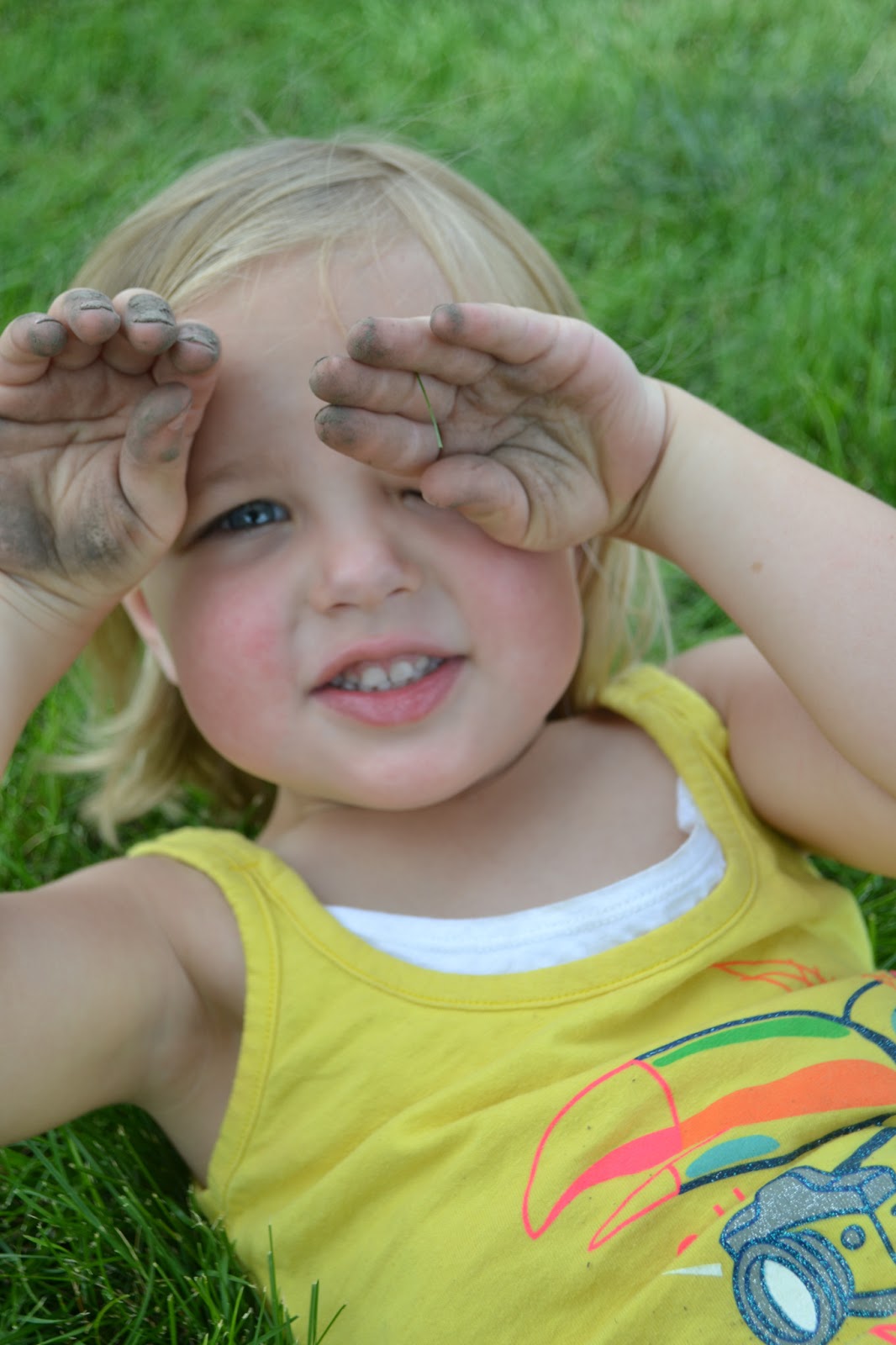 The Baker Bustle: Happy Birthday America!