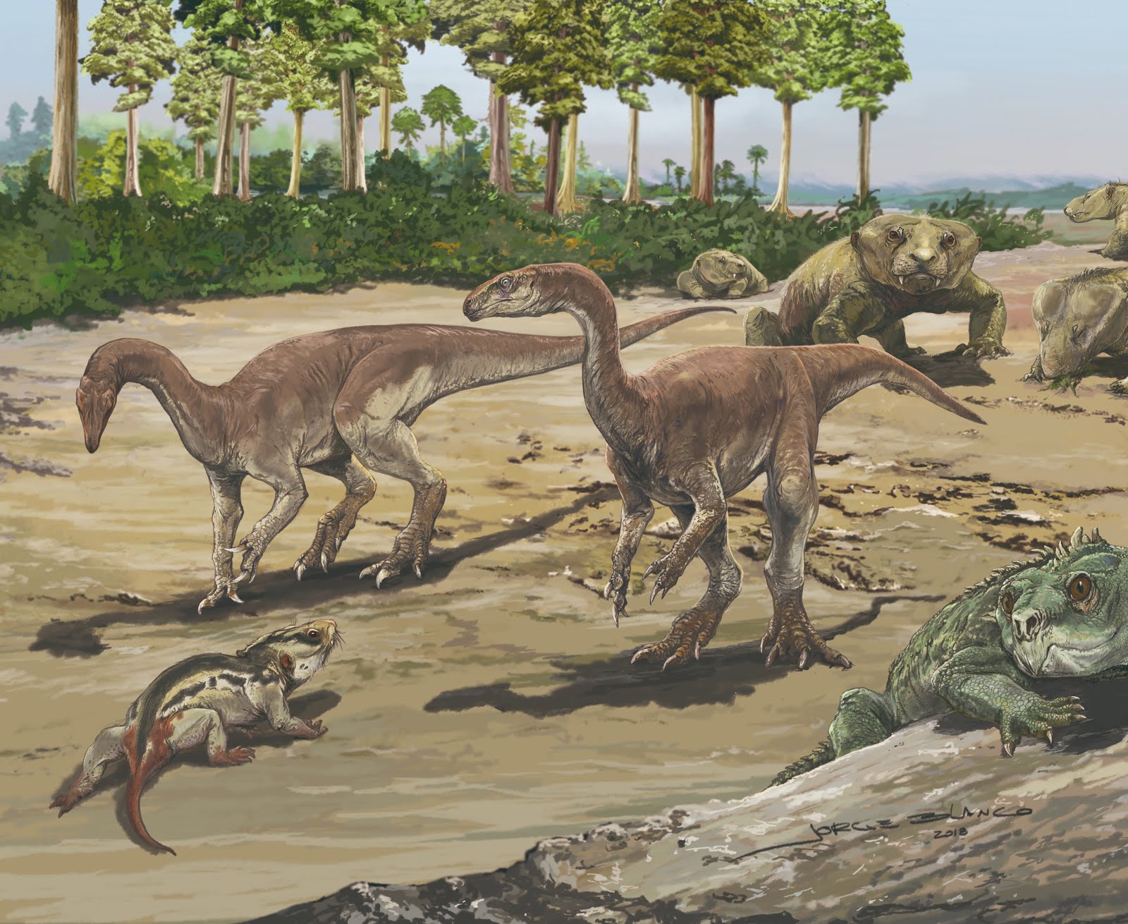 Species New to Science: [Paleontology • 2018] Bagualosaurus agudoensis ...