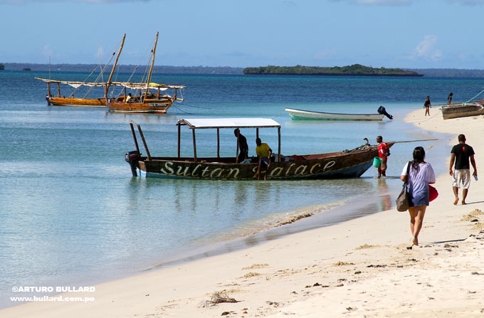 Safari Blue: Islas, Islotes y Langostas en el Mar Indico : Viajes ...