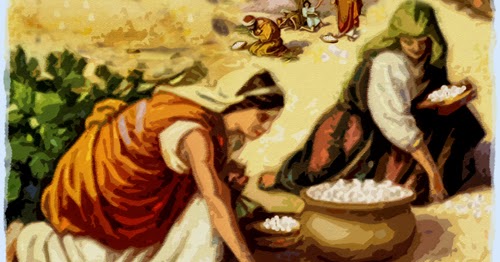 Biblical Perspicacity: What is Manna?