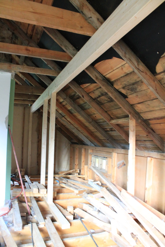 Varsinainen lintukoto: heinäkuuta 2012