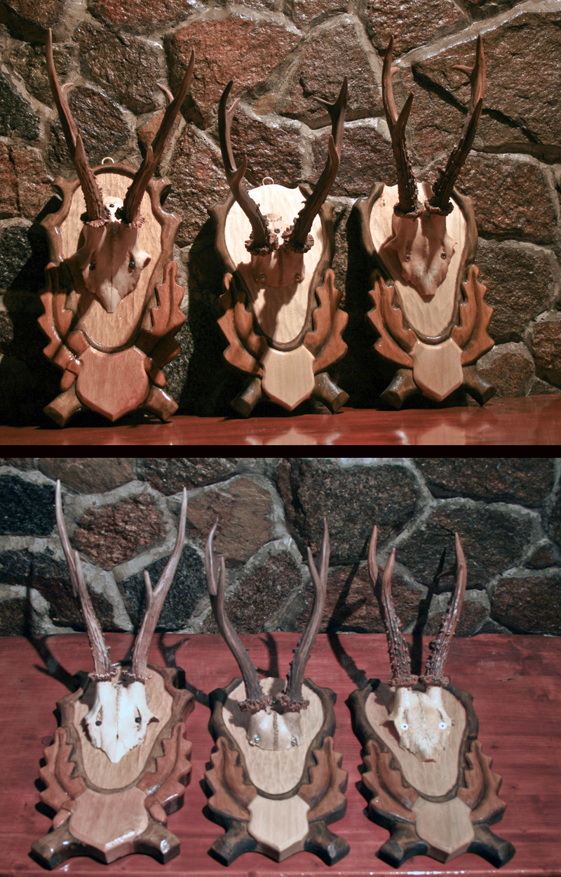 panoplii de vanatoare