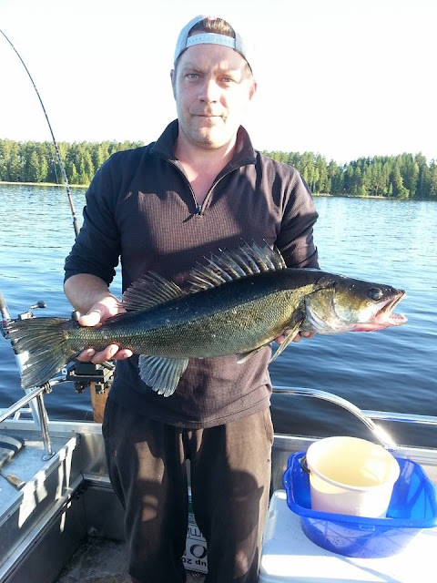 Kalareissut: Kuha aktiivinen myös aamusta