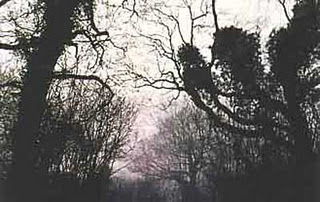 Hantu Api Tampakoro', petualanganmu paling mistik - Sang Baco