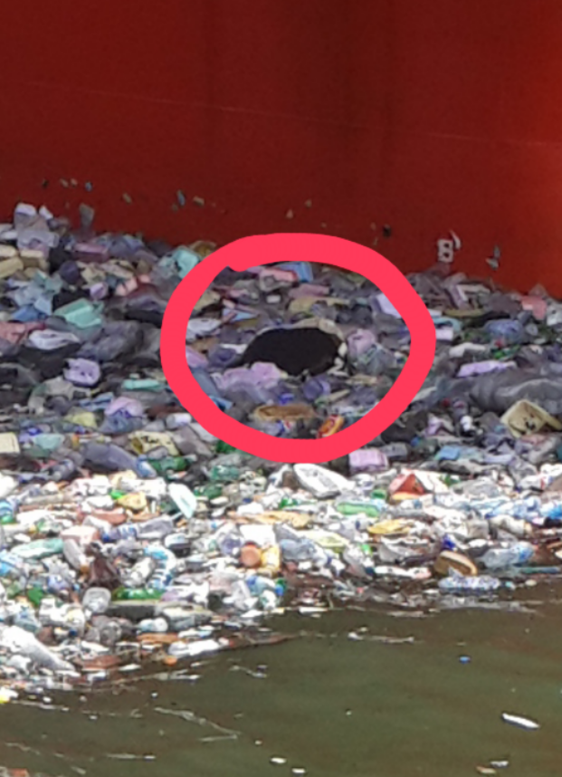 Photo: Floating Corpse at 81 Division Jetty, Lagos