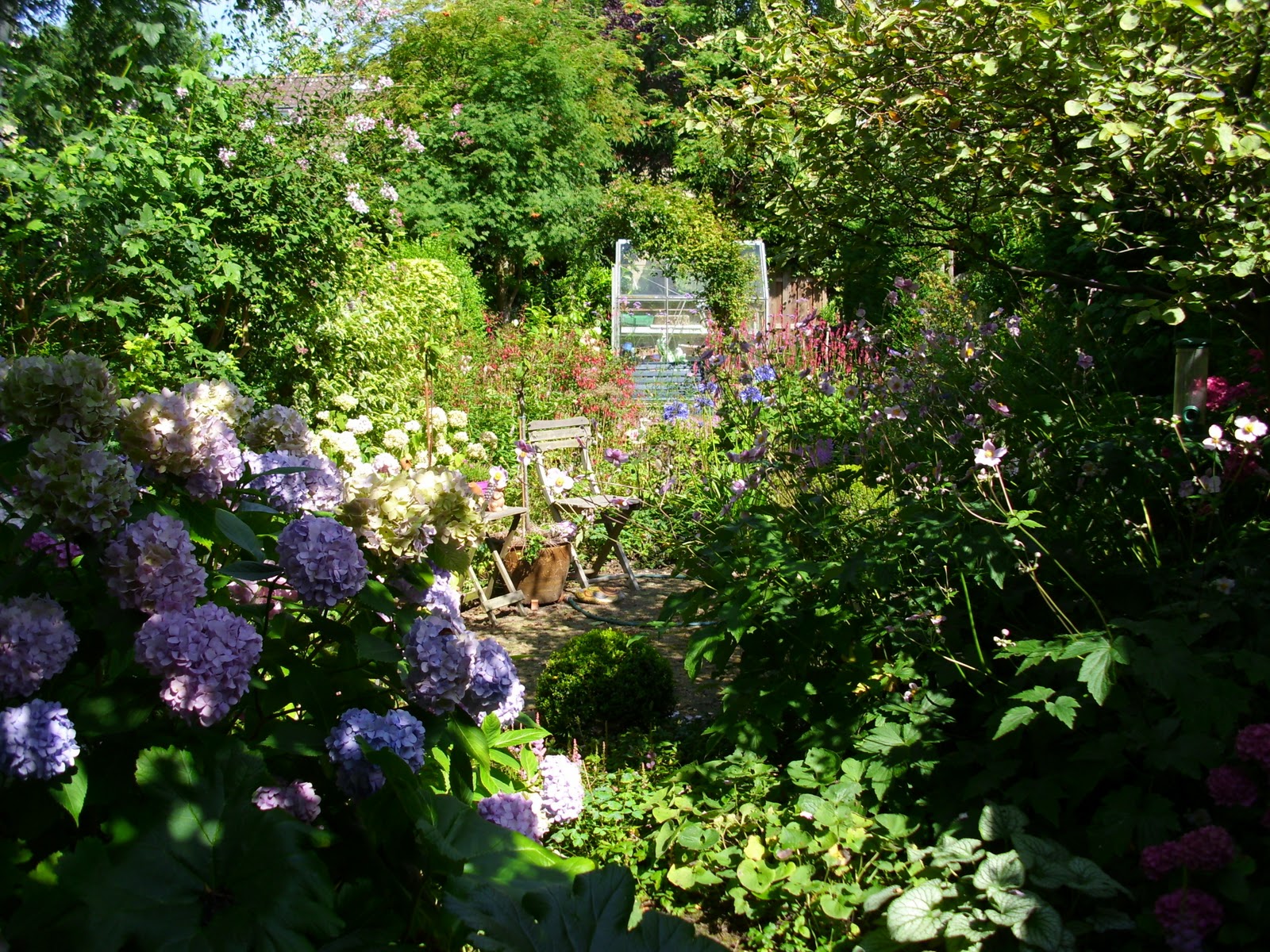 Sunshine and Shadow: Sneeuwklokjes in een kale tuin.