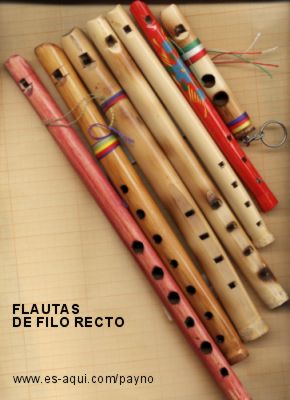 Music Class CEAD Christian School (Documentos): Instrumentos Musicales ...