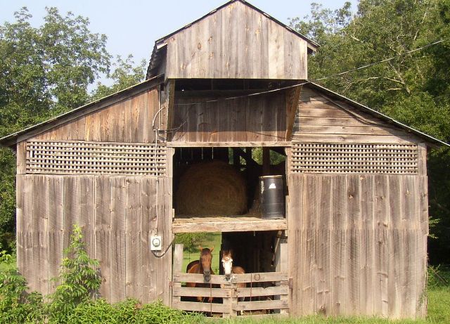 ~Irishman Acres~: A lesson in BARNS