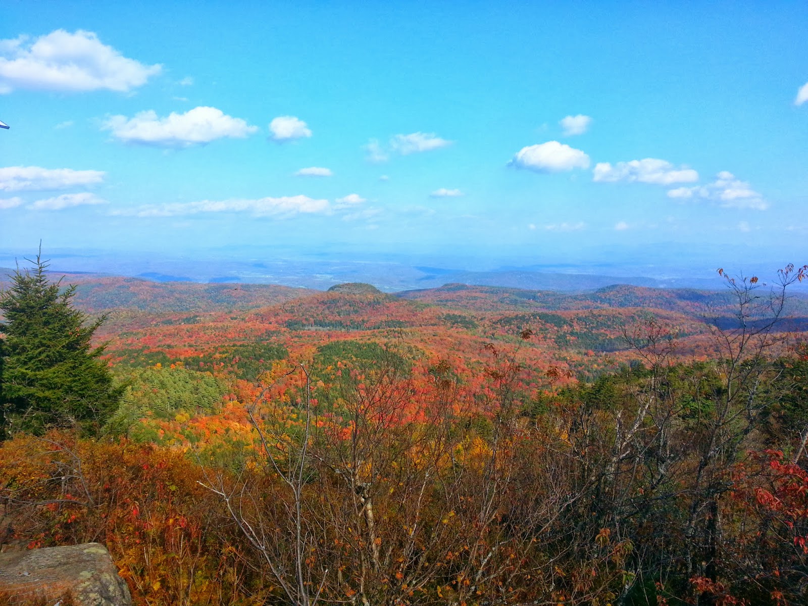 Simply Franee: Black Mountain, Clemons NY