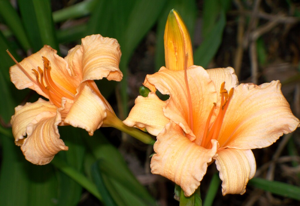 Orange explains it all: orange is back