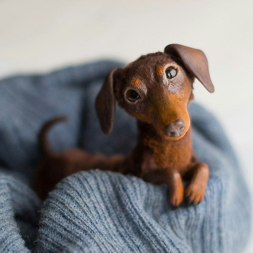 Encantador puppy de color chocolate - Jadewoman