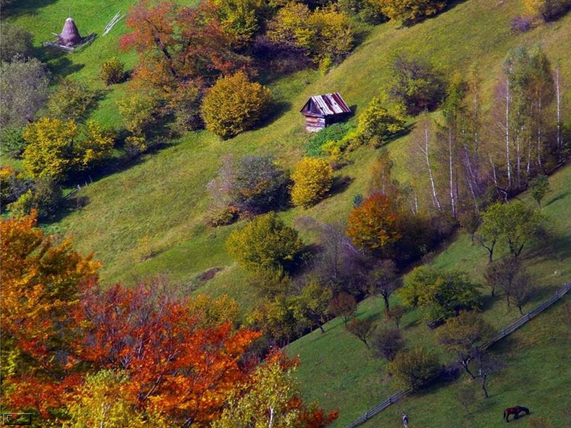 Best WallPapers: Romanian Autumn Best Wallpapers