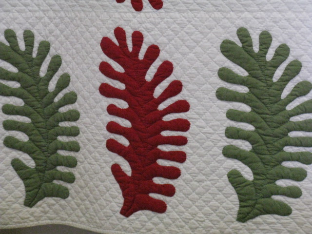 Quilting Blog - Cactus Needle Quilts, Fabric and More: Princess Feather ...