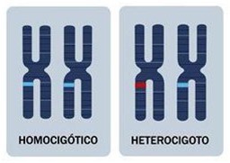 BIOLOGIA 2: Características genéticas.