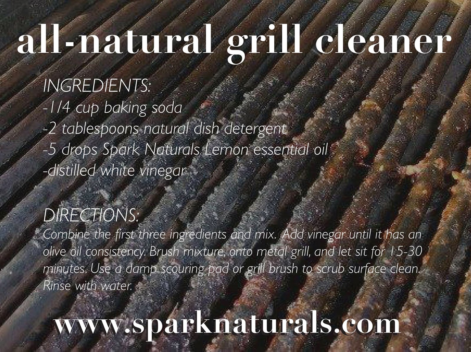 Spark Naturals Blog: Fall cleaning: Grill Cleaner