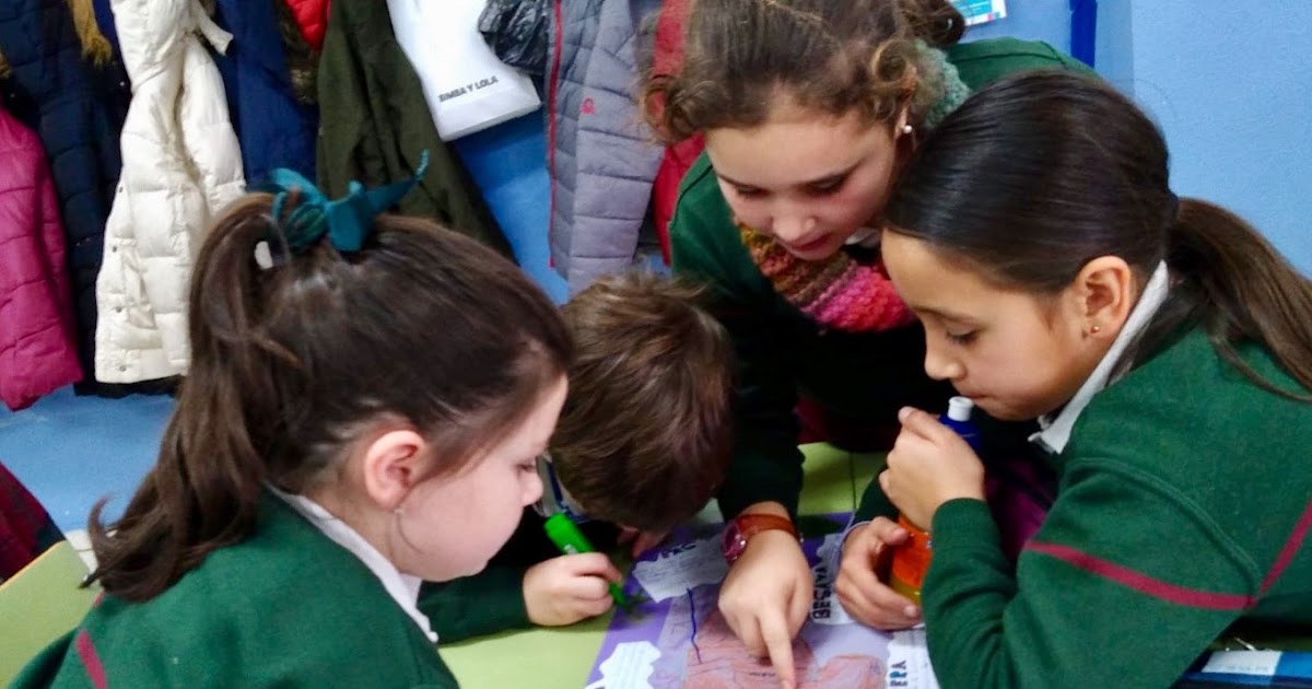 EDUCACIÓN PRIMARIA : RÍOS DE CANTABRIA - 4º DE PRIMARIA