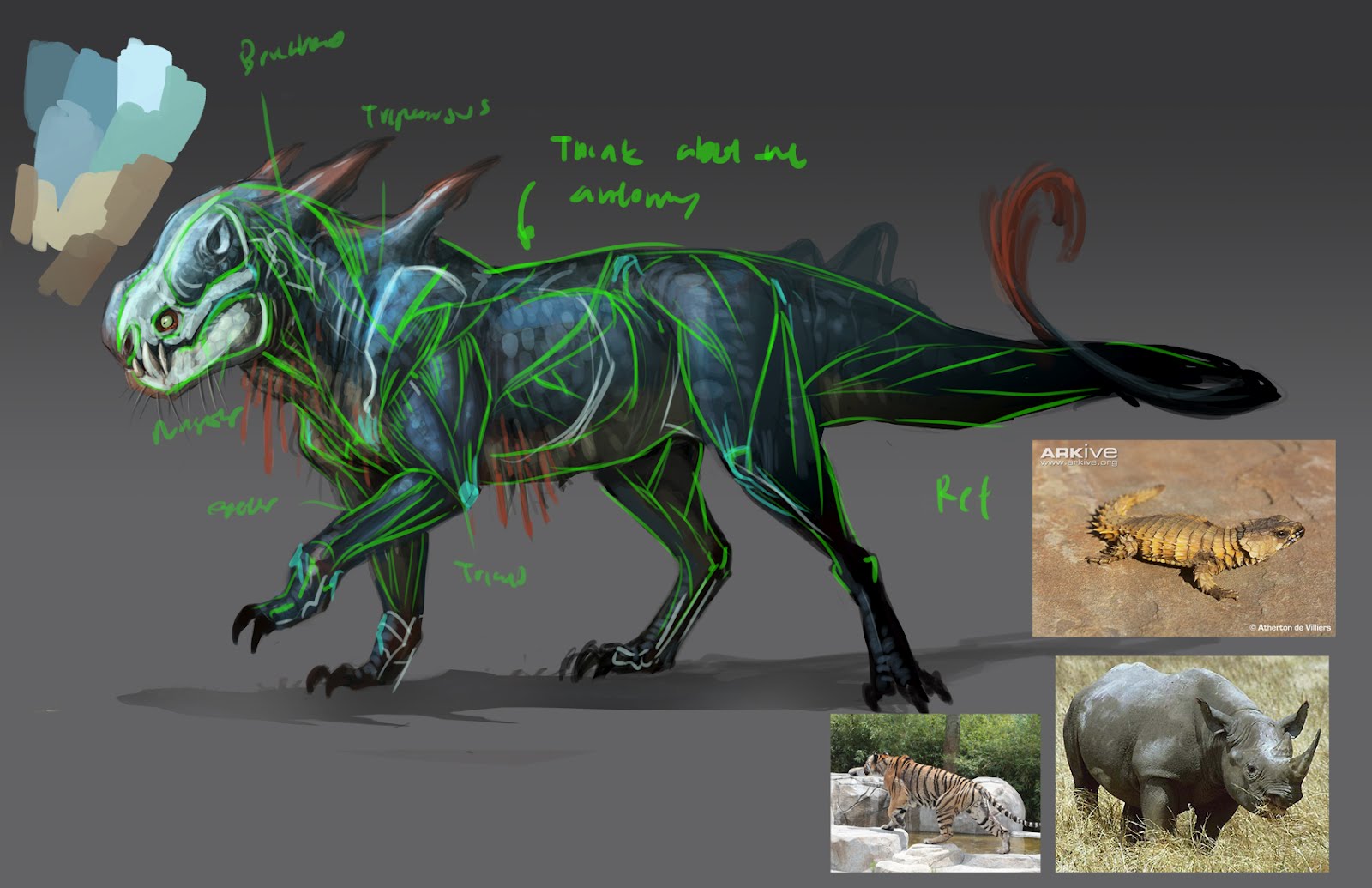 Animal Art and Demos: DEMOS