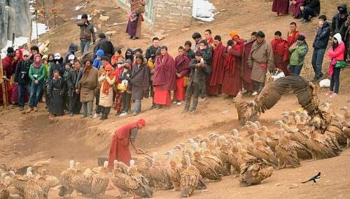 The Ninja Chronicles of AK: Buddhists' Funeral, The Tibetan Sky Burial!