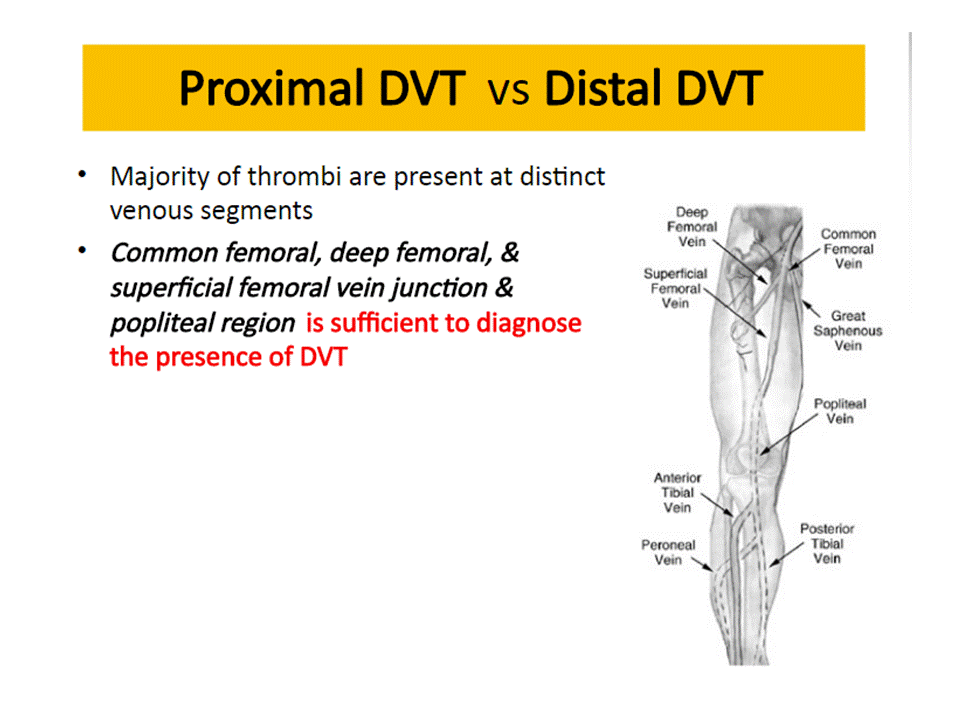 BÀI SOẠN VỀ SIÊU ÂM CHẨN ĐOÁN: Acute and Chronic DVT and Ultrasound (US)