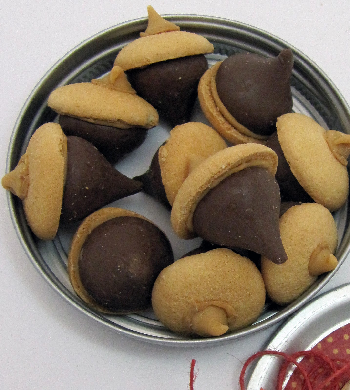 Explore. Dream. Discover.: Acorn Kisses!