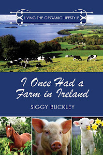 WGT: How to Do a Book Launch