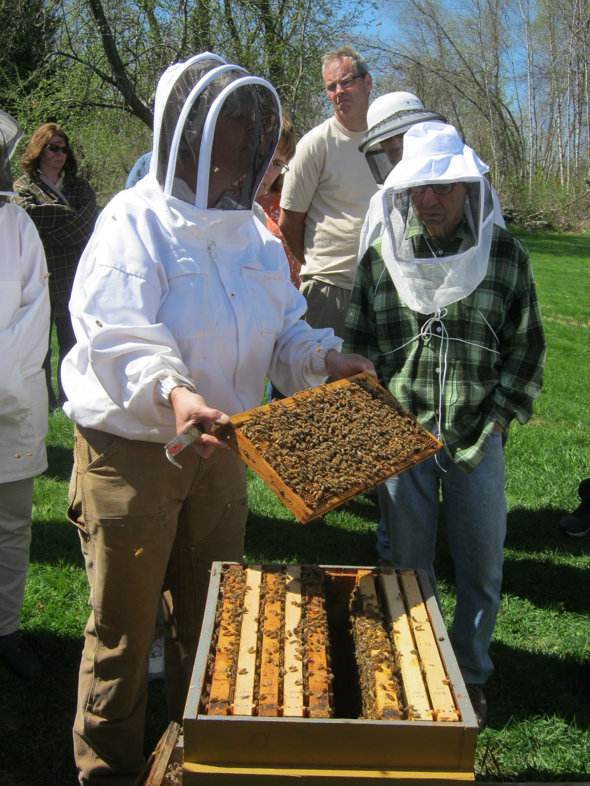 Steven's Bees: First Outdoor Bee Meeting, and a Quick Check