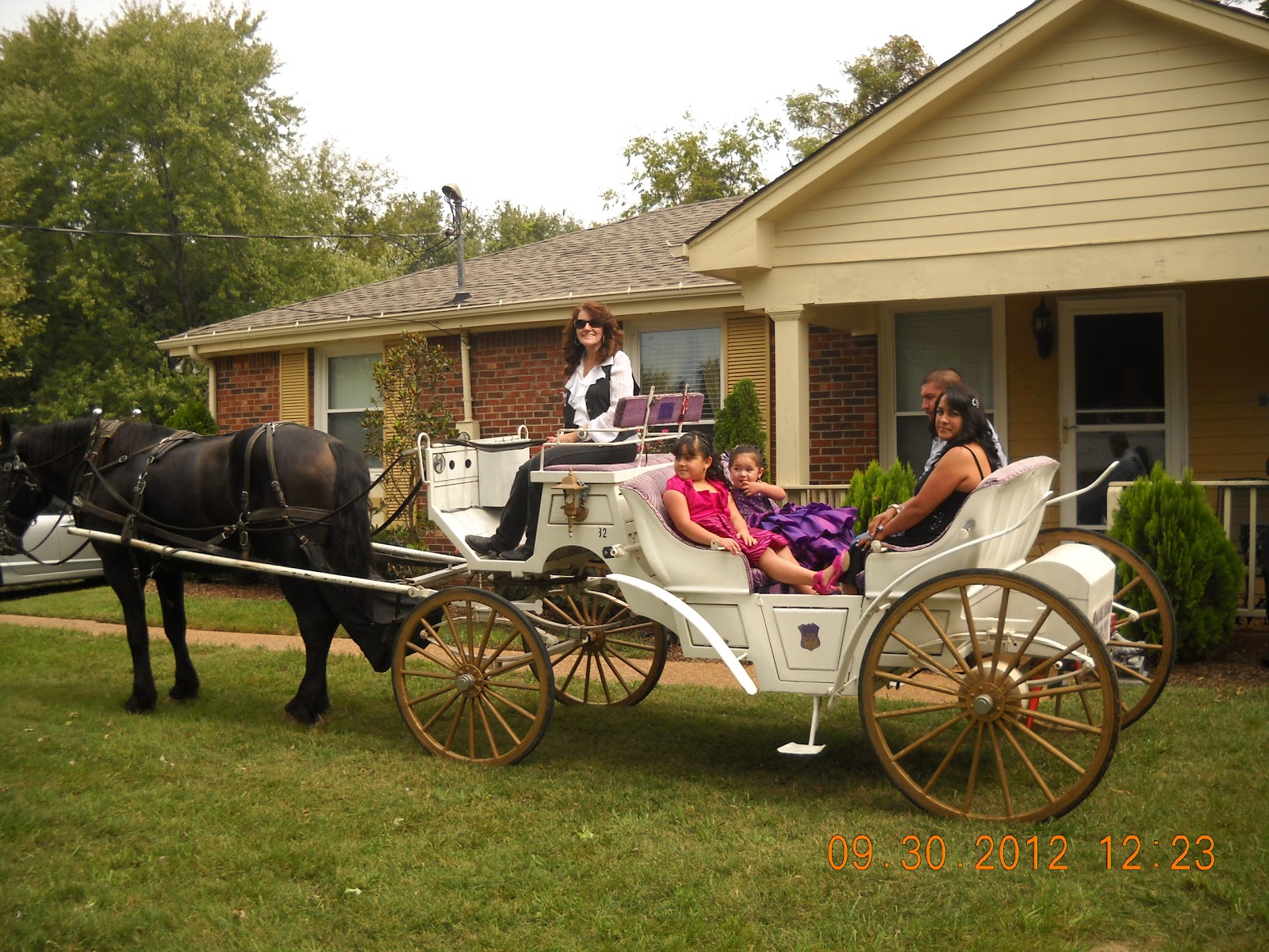 Sugar Creek Carriages: Horse Drawn Birthday Carriage