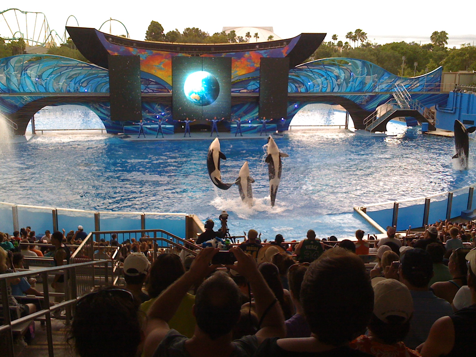 52 Weeks of Disney: Week 26 - New Shamu Show at SeaWorld Orlando (June 28)