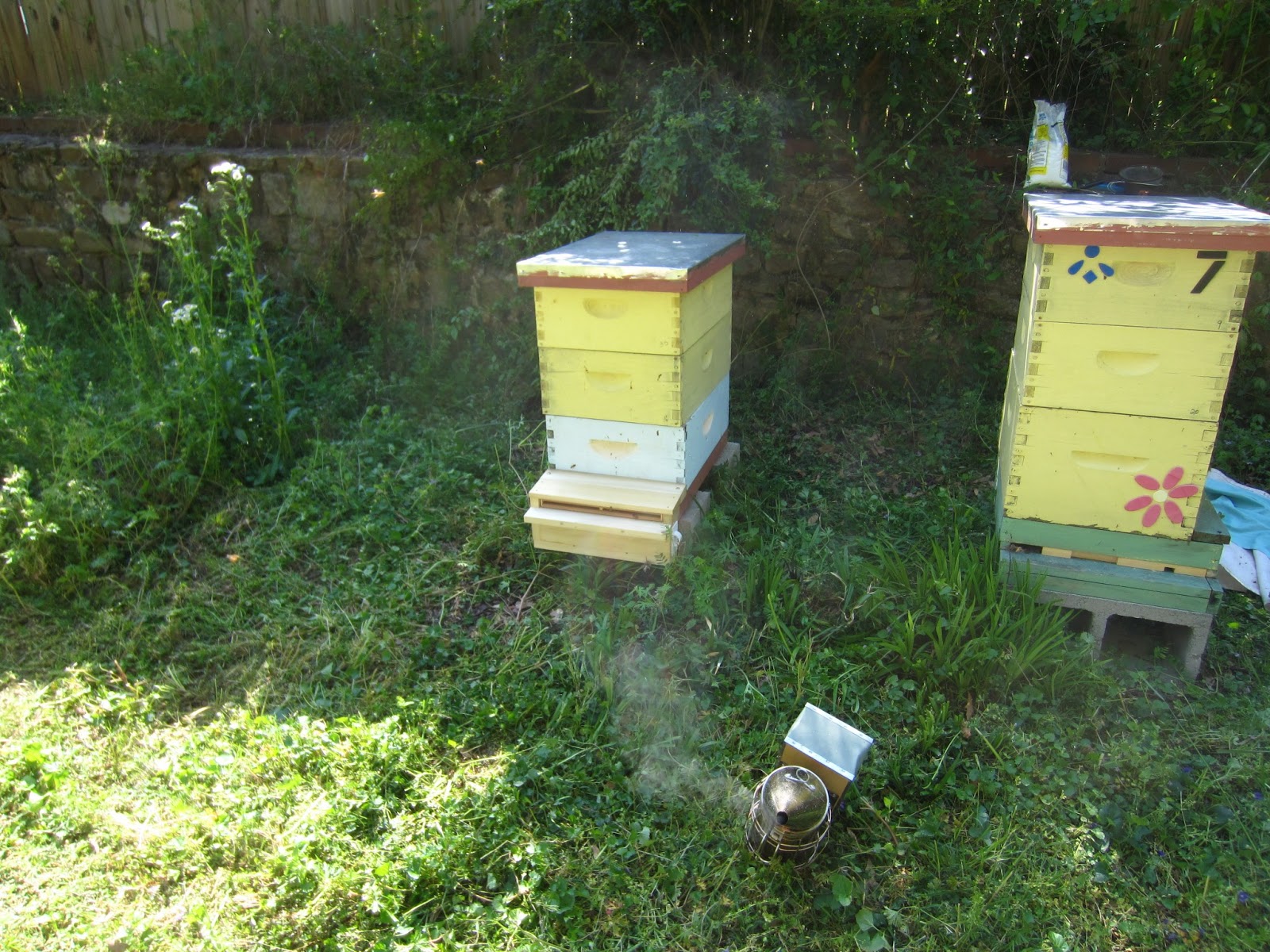 Linda's Bees: Trying Out a New Small Hive Beetle Trap