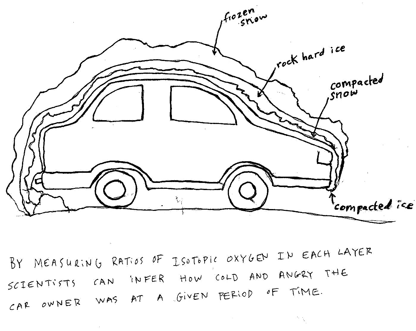Hillary Boone Cartoons: Ford Focus Cross Section Analysis