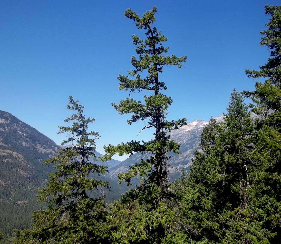 Stehekin Heritage: Take a Stroll on the Rainbow Loop Trail