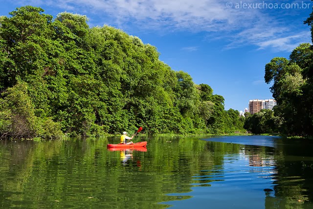 Parque Ecológico do Rio Cocó - Fortaleza, Ceará.