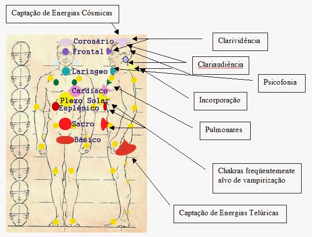 espaço curar-se: POR QUE PERSISTE AQUELA DOR NAS SUAS COSTAS? – O ...