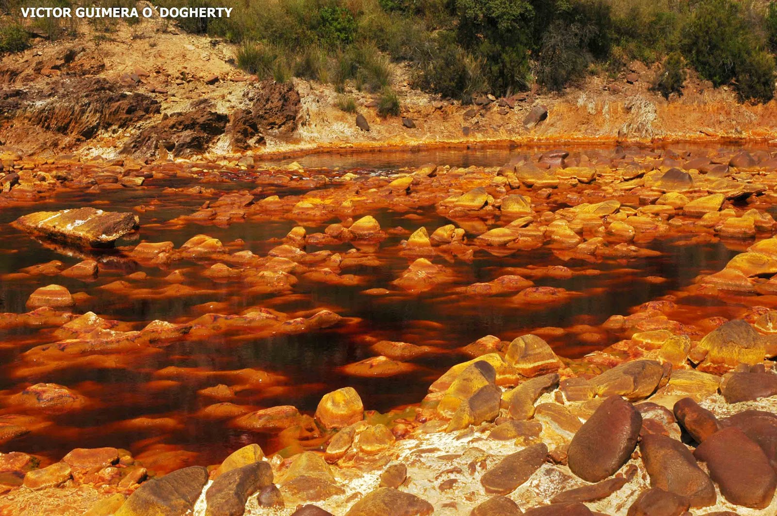 Mis imágenes de aves: IMAGENES DEL RIO TINTO