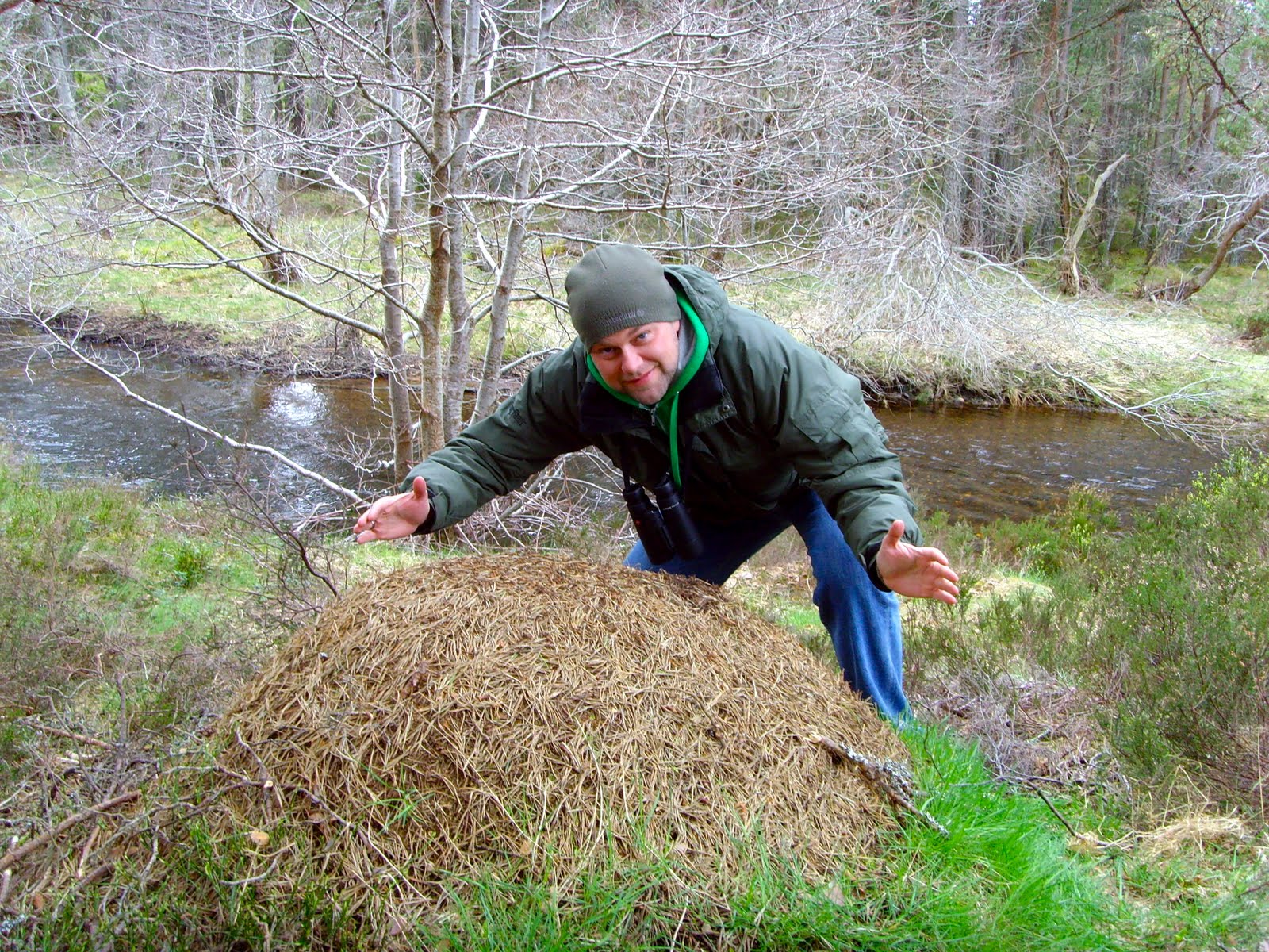 Archie's Peaky Birders Blog: Highland Spring Day One - Capercaillie ...