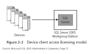 sharing: Example of Device Client Access Licensing Model