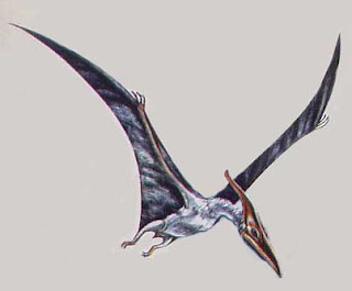 As cousas da clase : Pterodáctilos