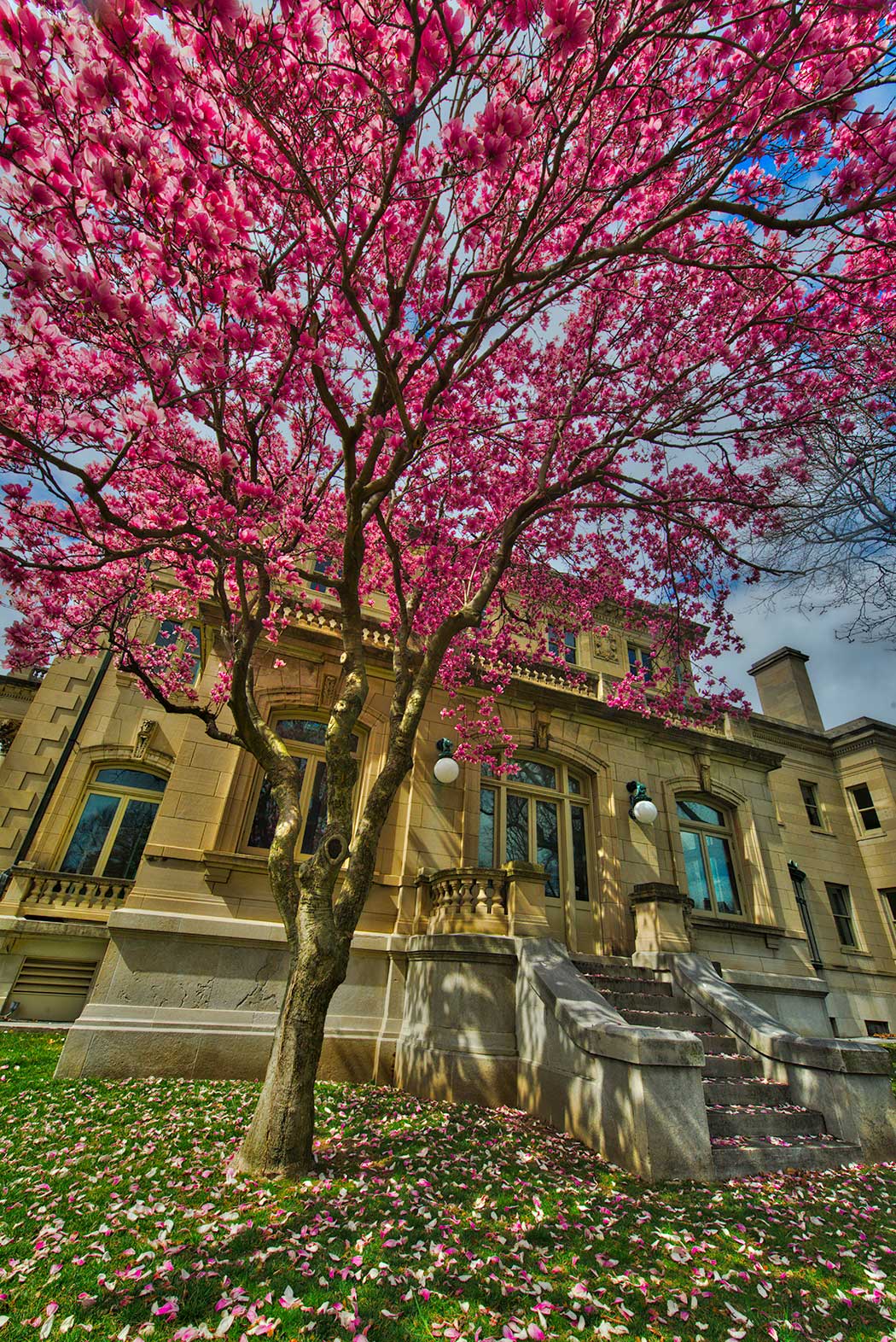 Hyperblogal: Kansas City Museum In Spring Finery
