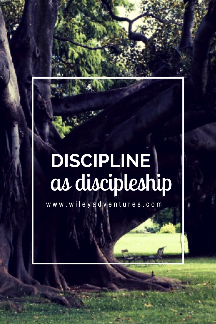 Discipline As Discipleship - Wiley Adventures
