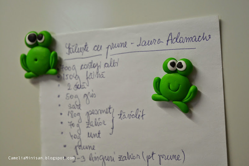 Camelia Minişan: Tutorial Broscuta Magnet