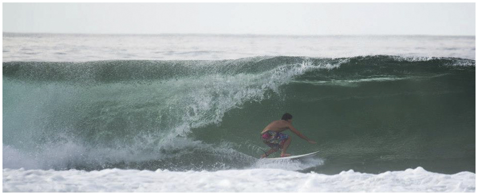 swop surfboards: ASSINIE MAFIA