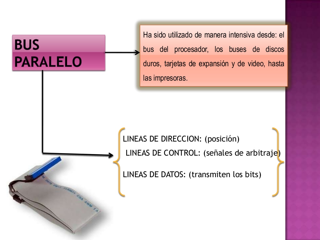 Informática: Placa Madre : Bus de Datos
