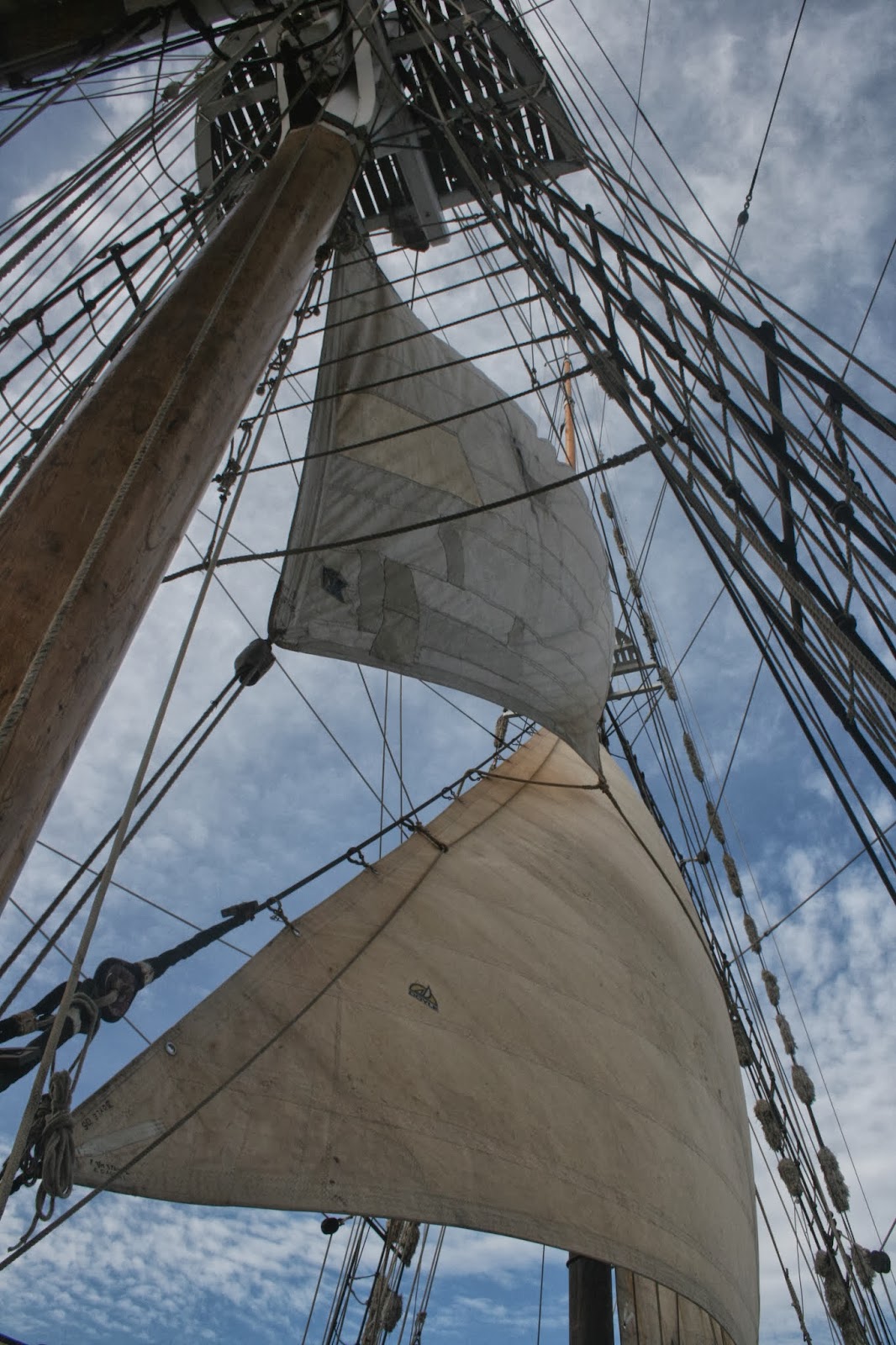 In the wake of Abel Tasman: Leg 1 Sailing Sydney to Melbourne, Tall ...