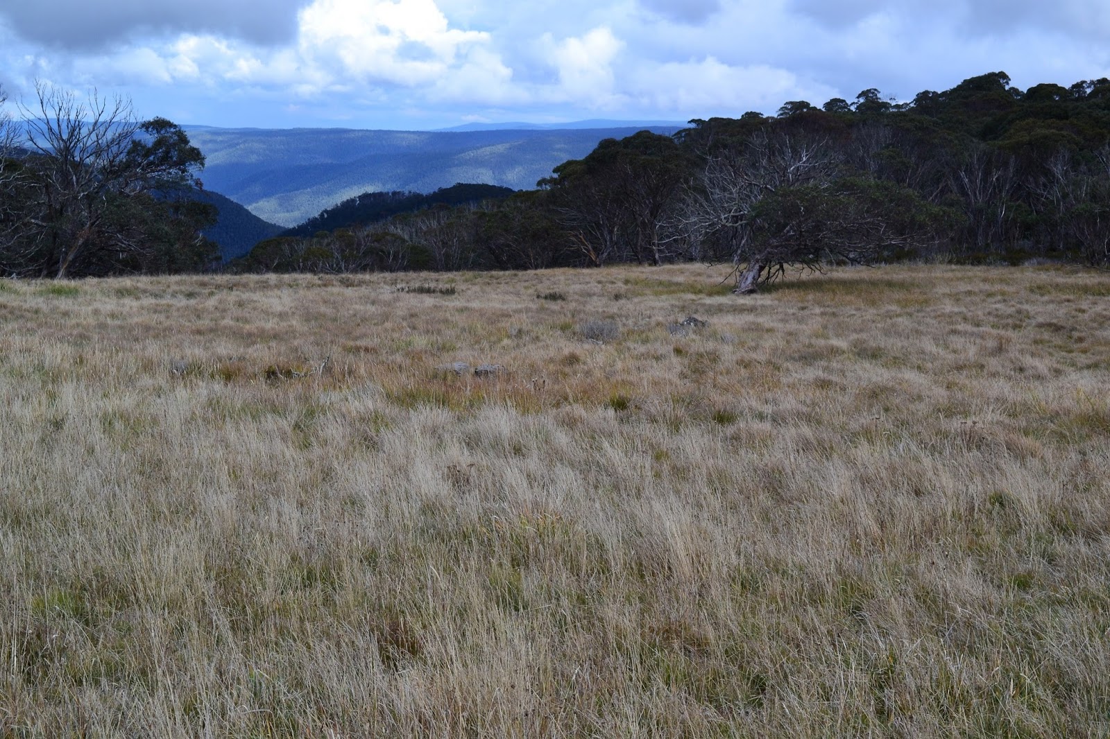 Goin' Feral One Day At A Time: Dinner Plain to Precipice Plain, Alpine ...